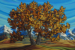Autumn – Patrick Markle | Canadian Contemporary Landscape Artist